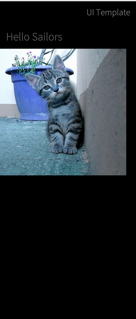 Label / Text - RichText styling / theming - QML - Sailfish OS Forum